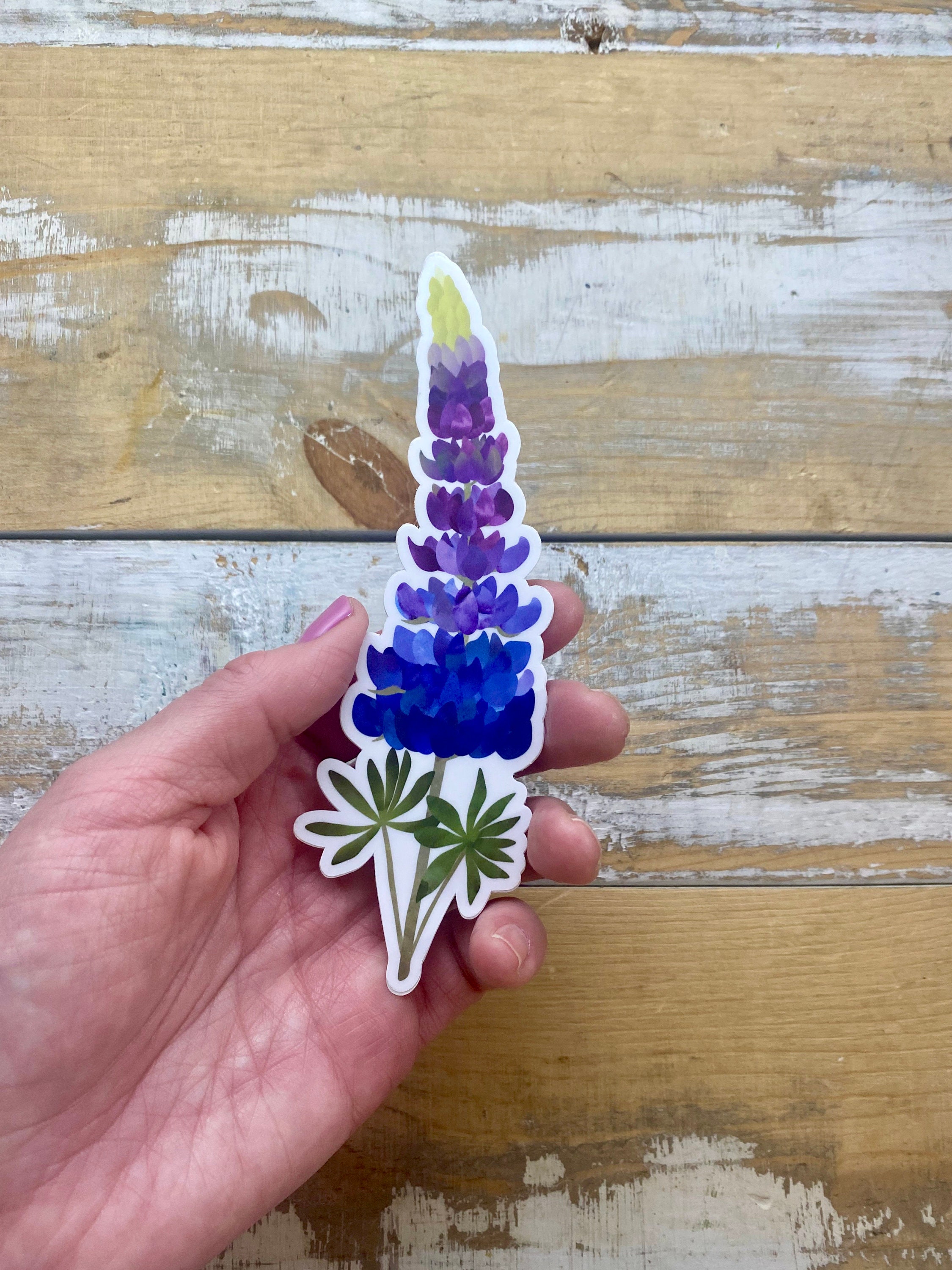 Lupine Vinyl Sticker - Etsy