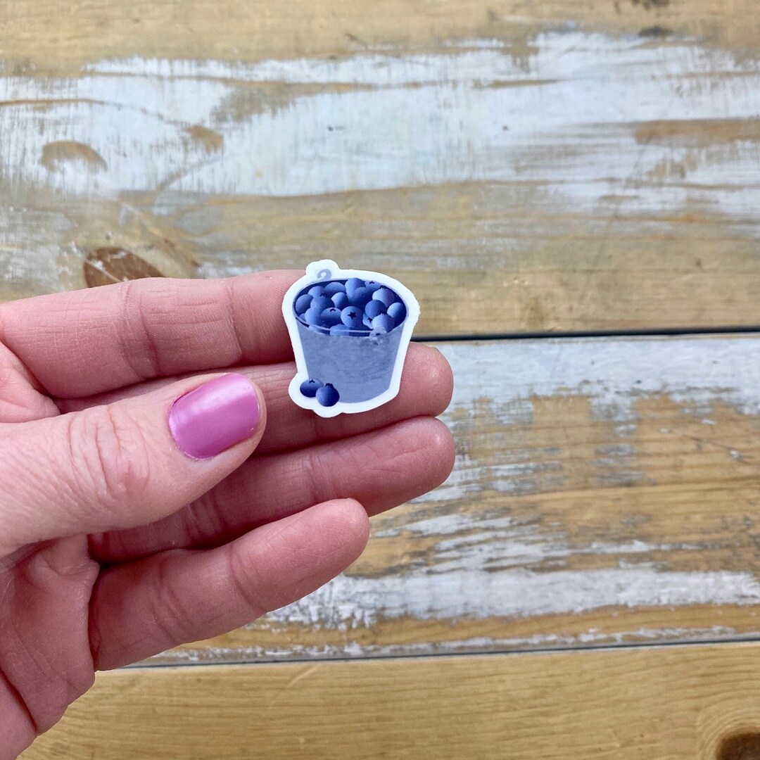 Bucket Of Blueberries Tiny Viny Sticker Etsy