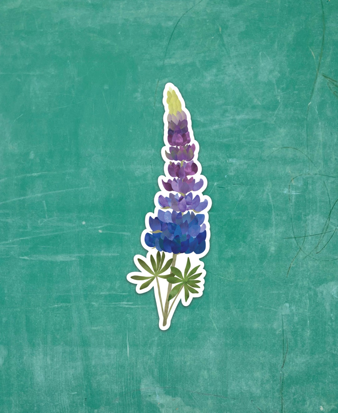 Lupine - Vinyl Sticker - Etsy