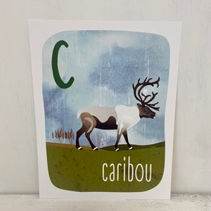 Alaska A to Z Alphabet Cards - Classroom Display Set - Etsy