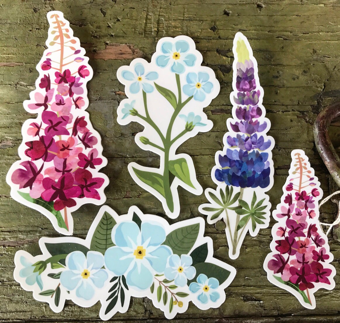 Forget-me-not Bunch Vinyl Sticker - Etsy