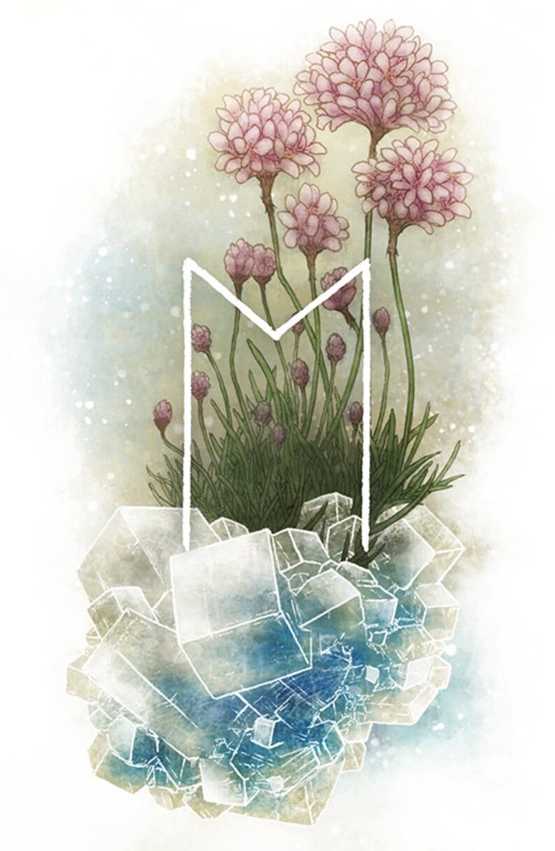 EHWAZ Rune art print 8.5 x 11 earth magic set botanical | Etsy