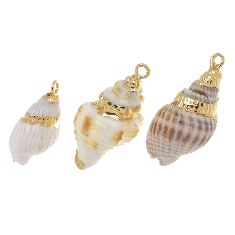 Sea Shell Charms - Etsy
