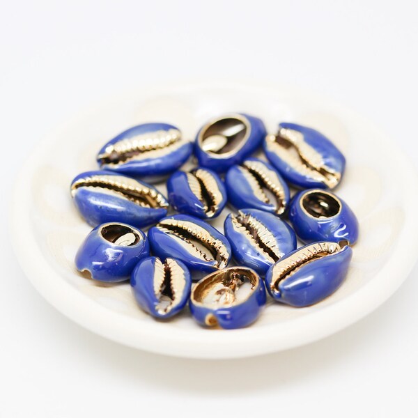 Blue Cowrie Shells - Etsy