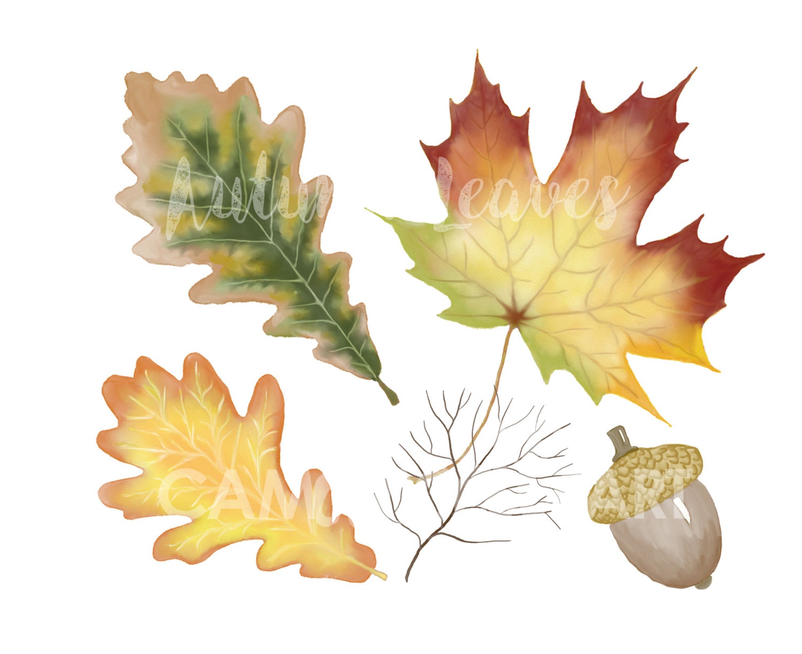 Watercolor Autumn Leaves Clipart Collection,fall Wreath,leaf,branch ...