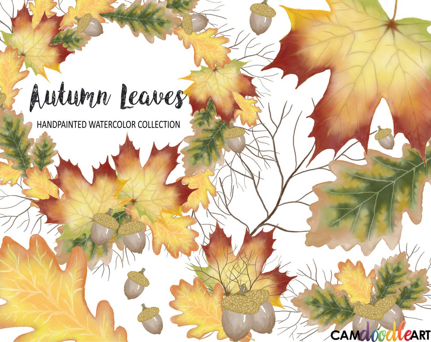 Watercolor Autumn Leaves Clipart Collection,fall Wreath,leaf,branch ...