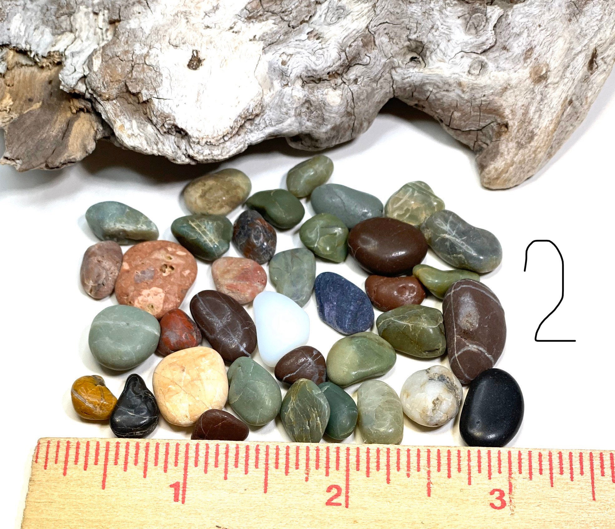 Beach Pebbles California Beach Stones Craft Pebbles Mosaic | Etsy