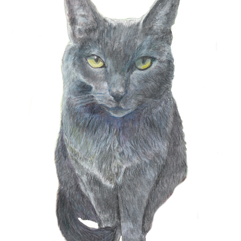 Grey Cat Art - Etsy