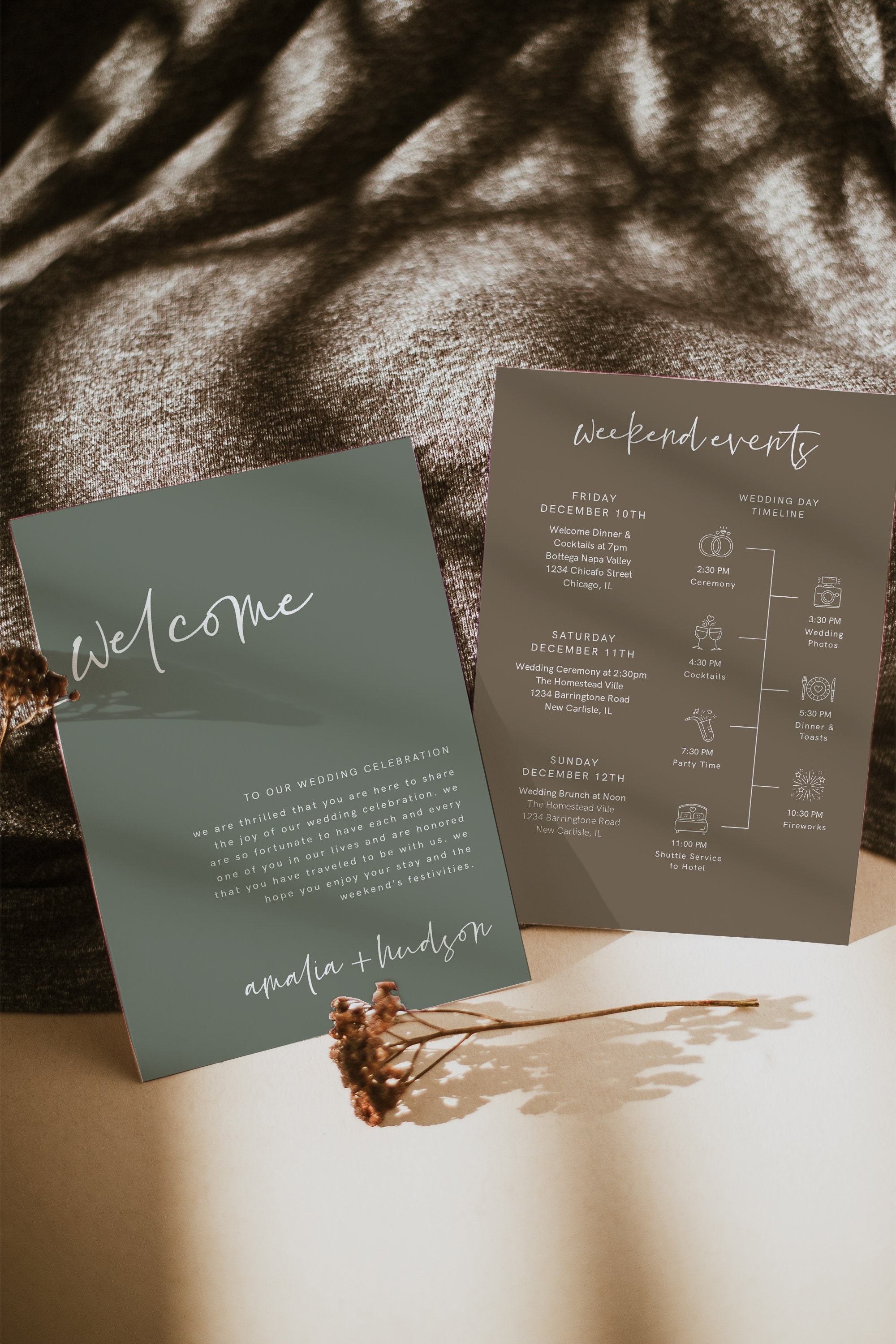 Boho Wedding Timeline Template Wedding Timeline Sage Green - Etsy