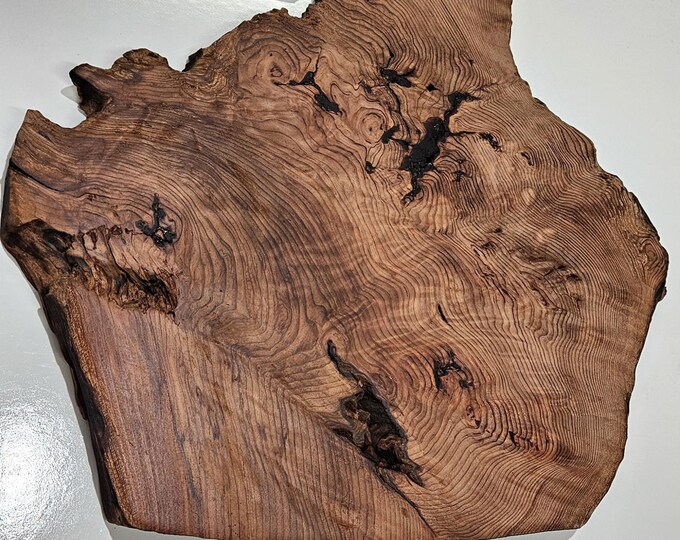 Black Walnut Super Unique Stump Root Burl Slab, Super Character ...
