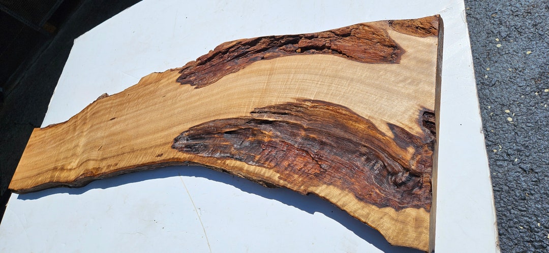Pacific Myrtle , Table Top, Shelf Material, Resin Project, Charcuterie ...