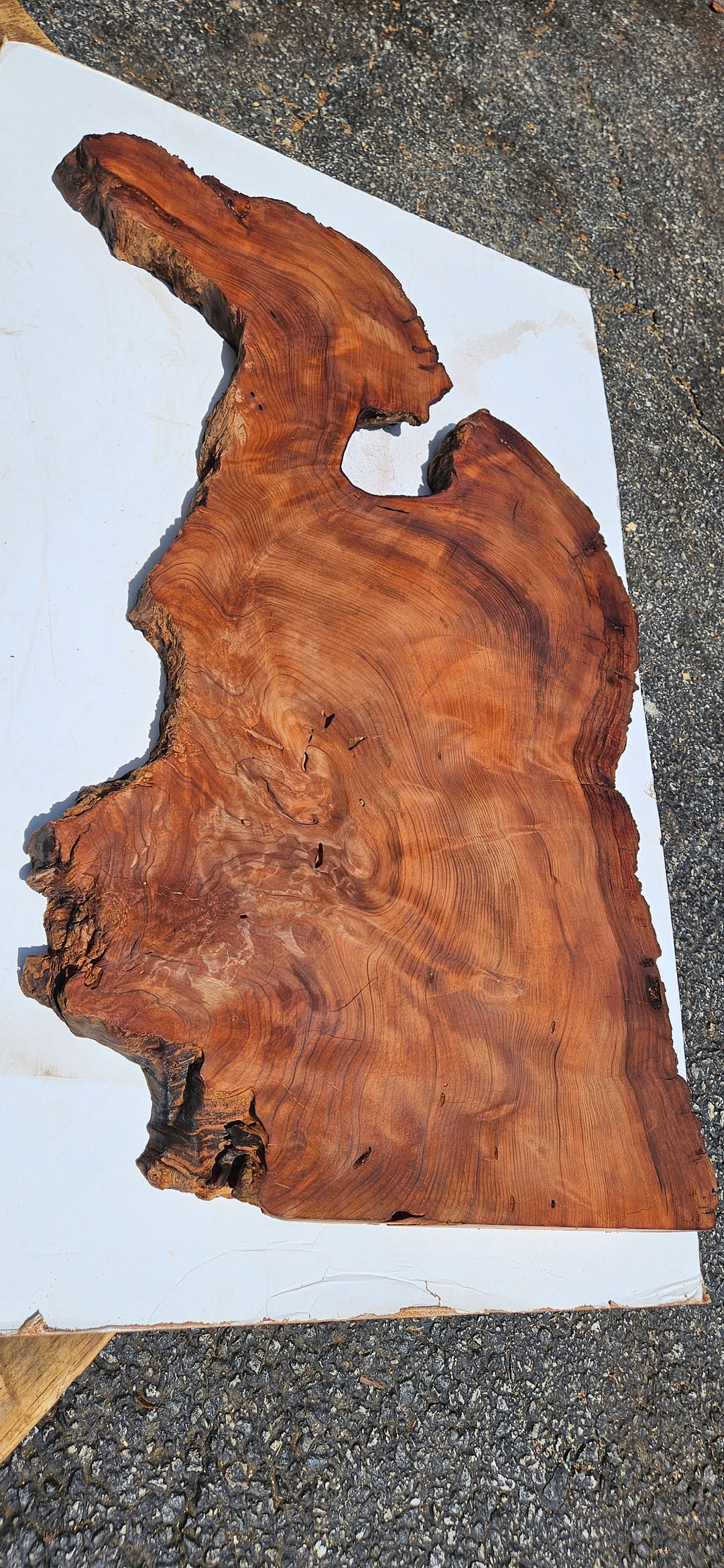 Old Growth Redwood Root Live Edge Slab W/burned Edges, Wall Art, Table ...