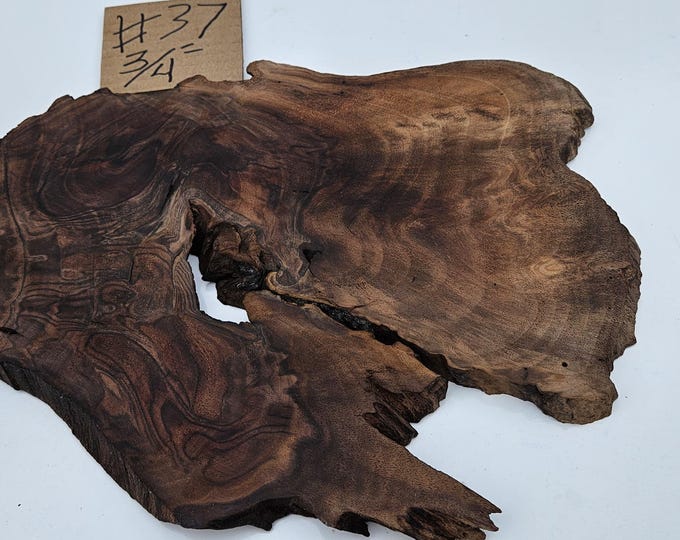 Claro Black Walnut Stump Root Slab, Super Insane Grain, Wall Art - Etsy