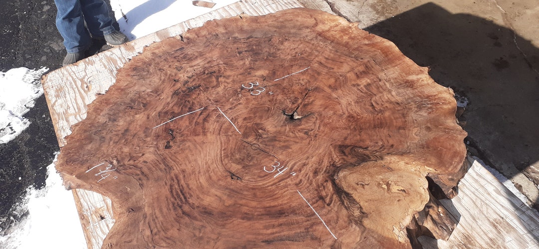 Pacific Black Walnut Stump Burl Slice, EXTREME Figuring, Sunburst ...