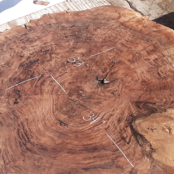 Black Walnut Slices - Etsy
