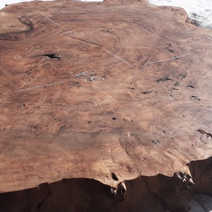 Pacific Black Walnut Stump Burl Slice, EXTREME Figuring, Sunburst ...