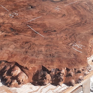 Pacific Black Walnut Stump Burl Slice, EXTREME Figuring, Sunburst ...