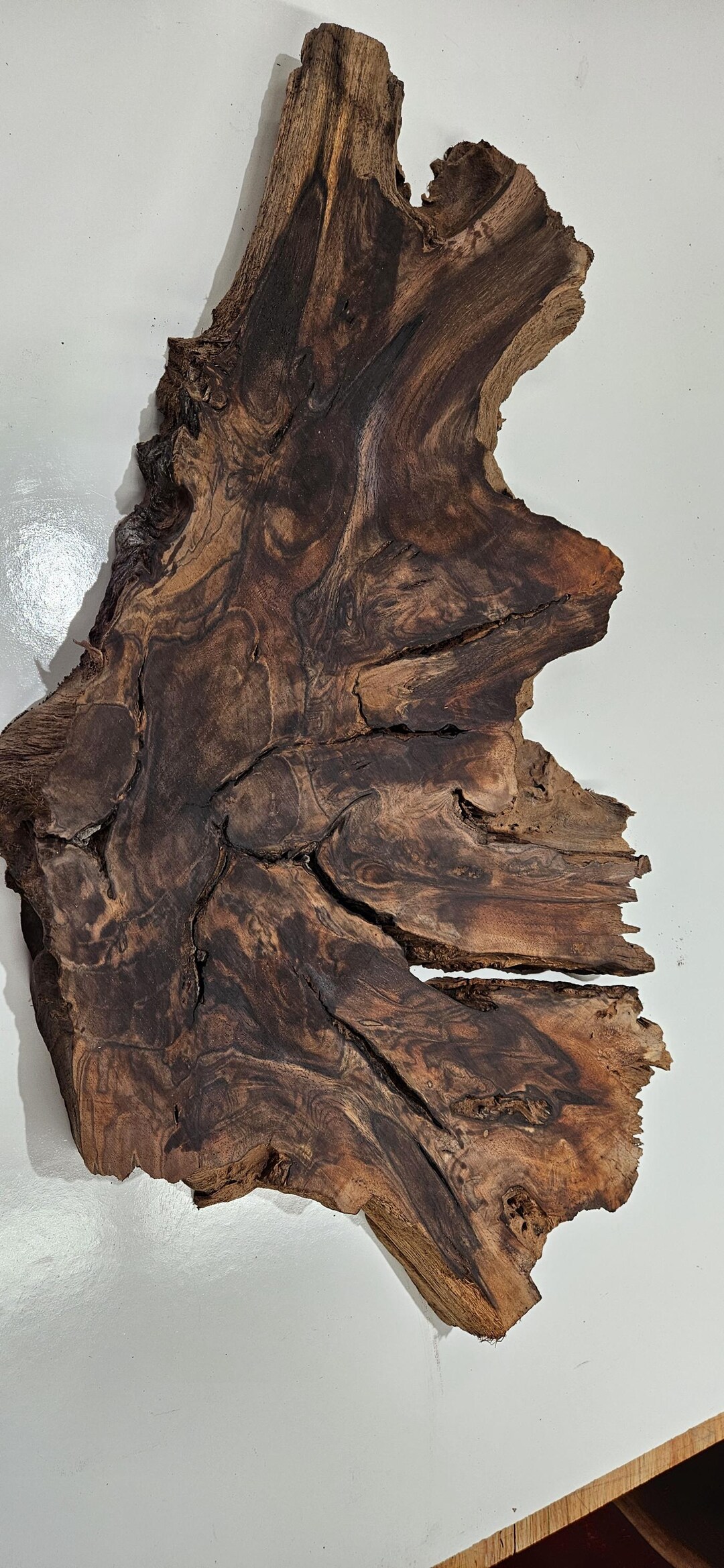 Claro Black Walnut Stump Root Slab, Insane Grain, Wall Art, Stump ...