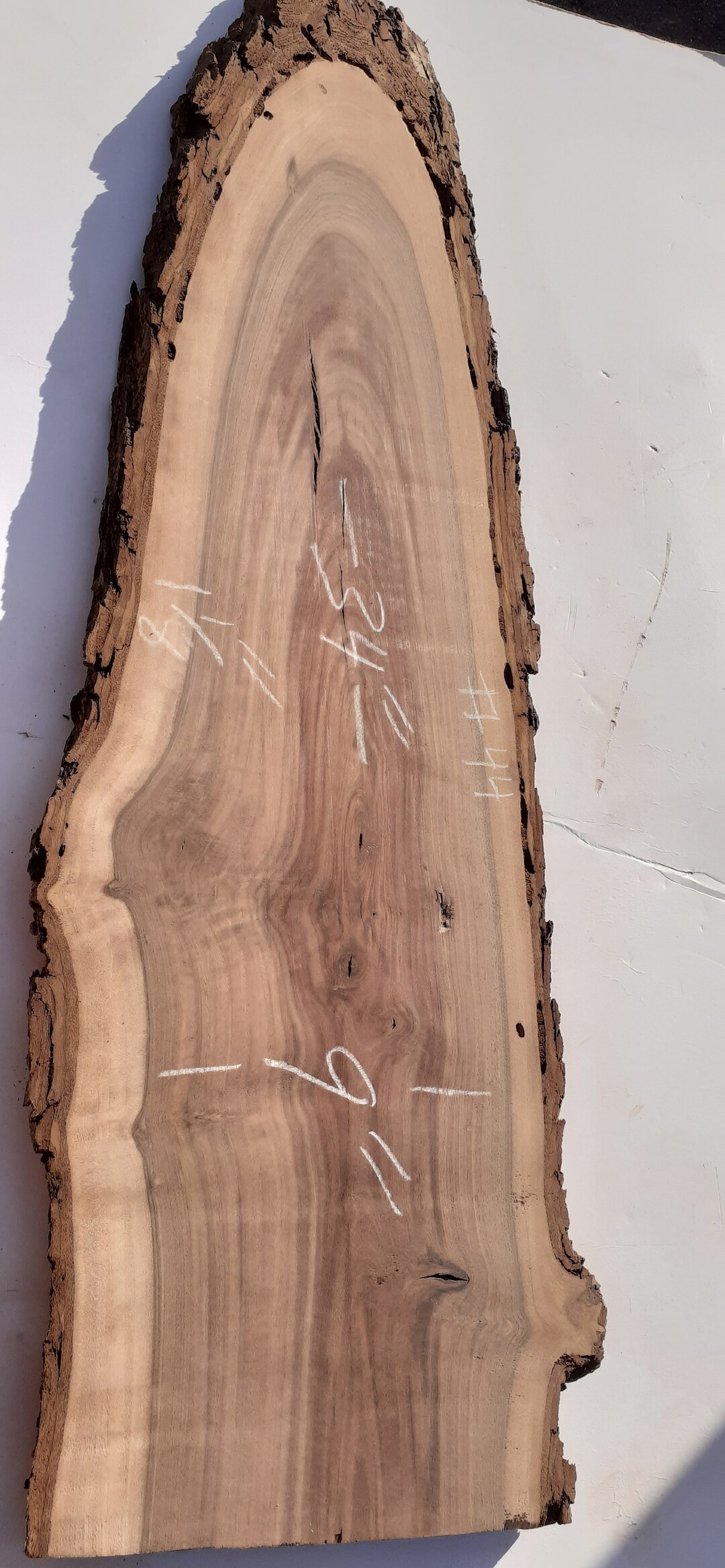 Claro Black Walnut Live Edge Slab. Curl Galore. Super Color - Etsy