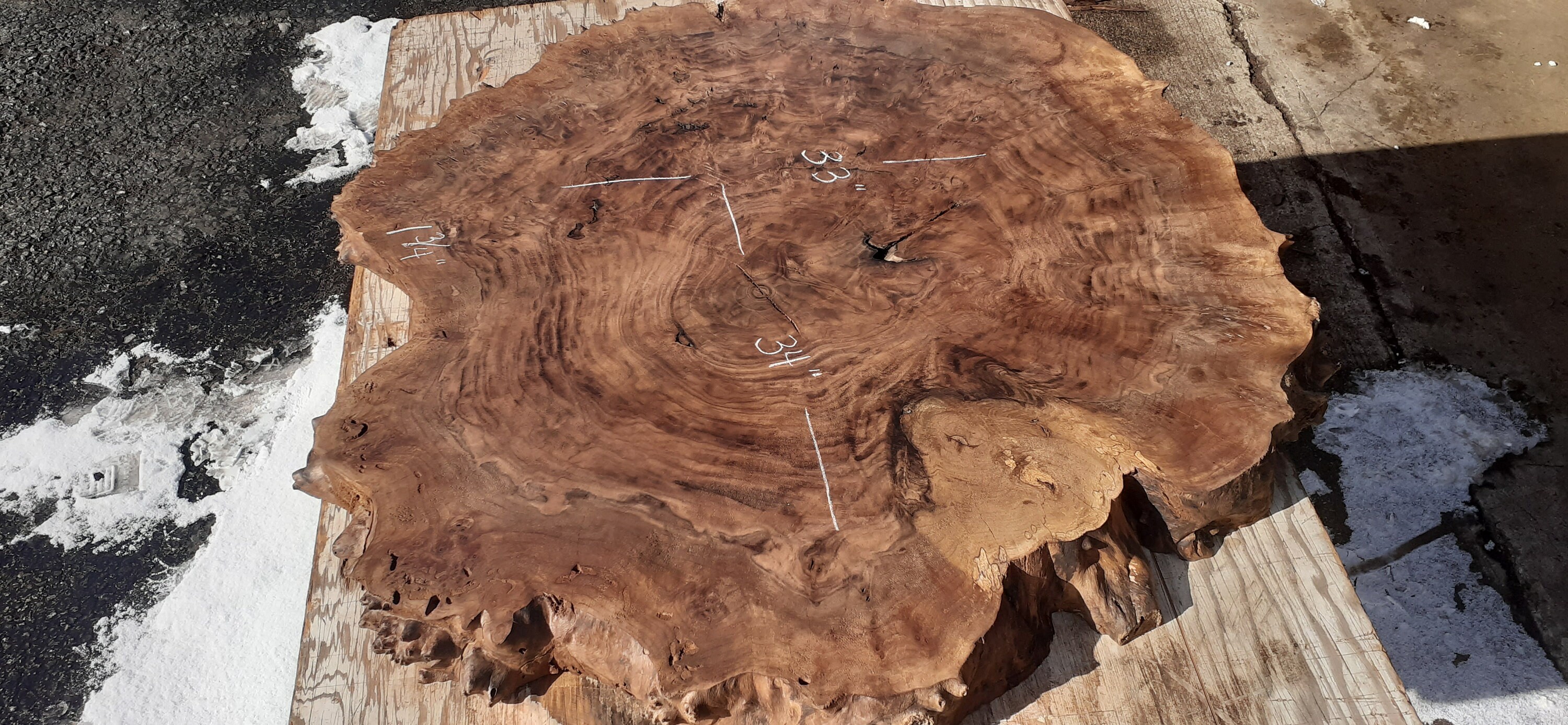 Pacific Black Walnut Stump Burl Slice, EXTREME Figuring, Sunburst ...