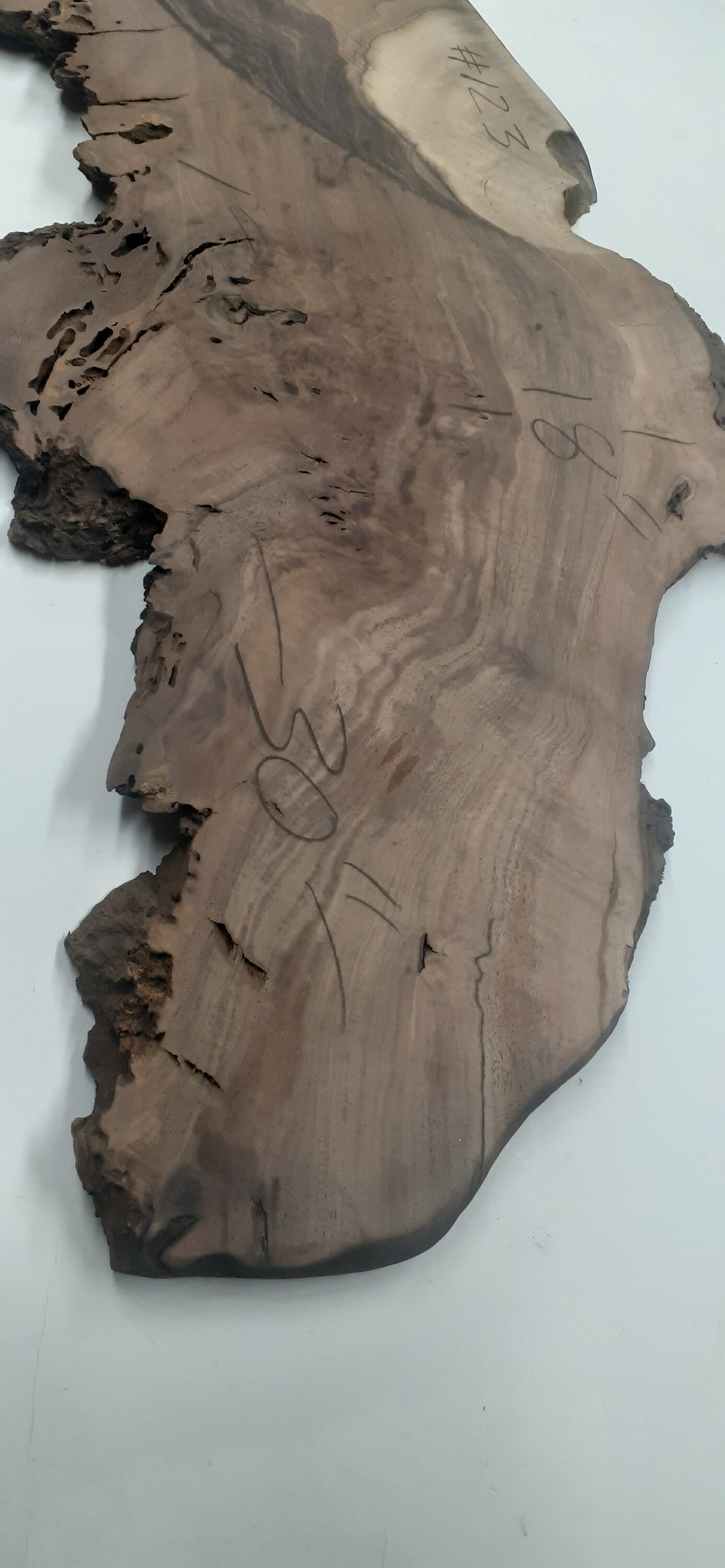 Claro Black Walnut Live Edge Slab. Curl Galore. Stump Burl Long Grain ...