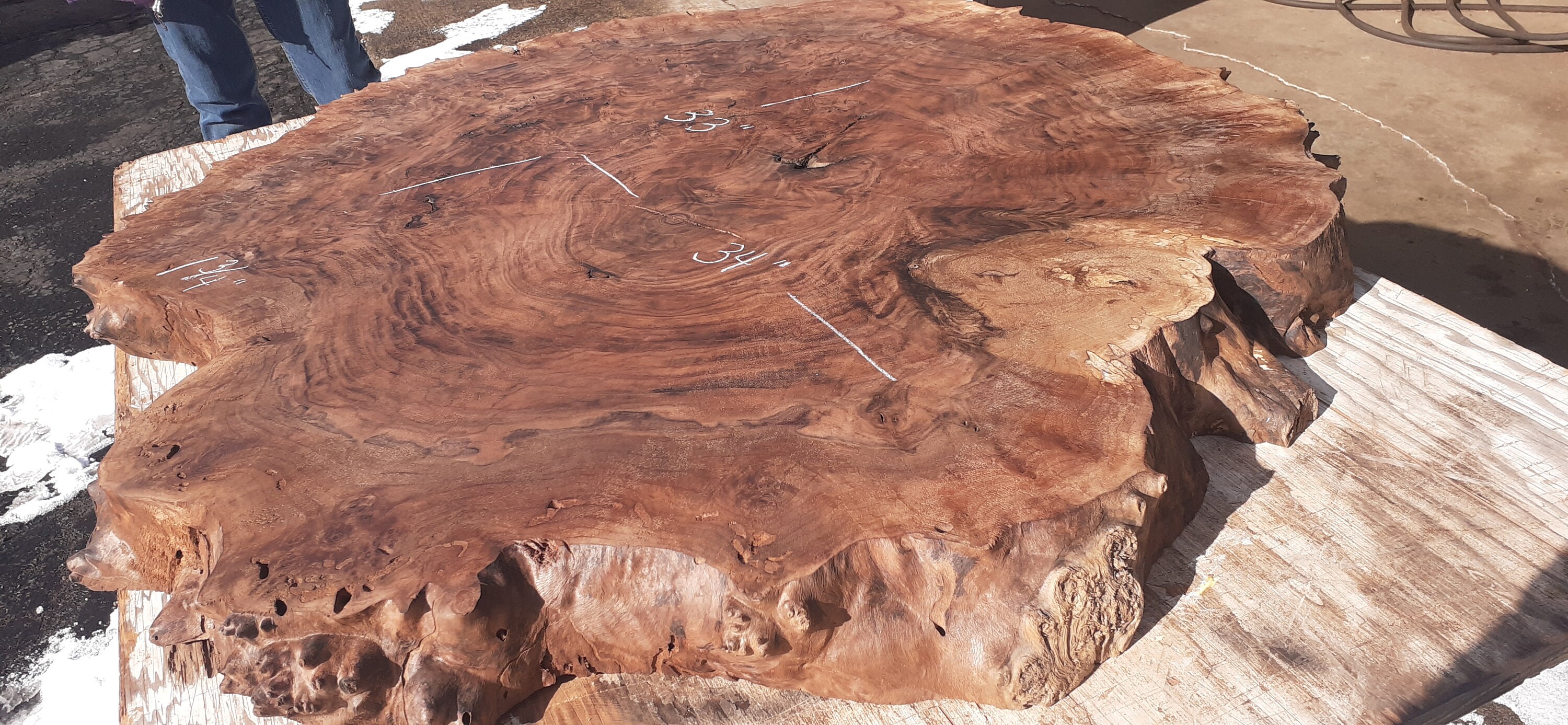 Pacific Black Walnut Stump Burl Slice, EXTREME Figuring, Sunburst ...