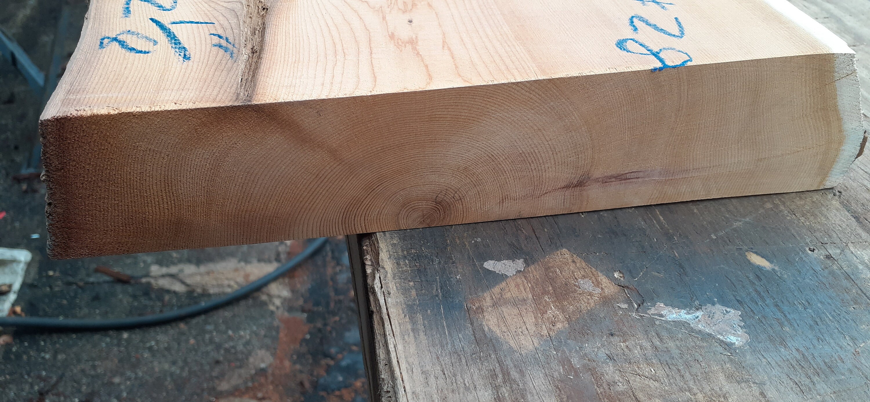 Pacific Yew Wood Bowl Blank Platter Blank Knife Scales - Etsy