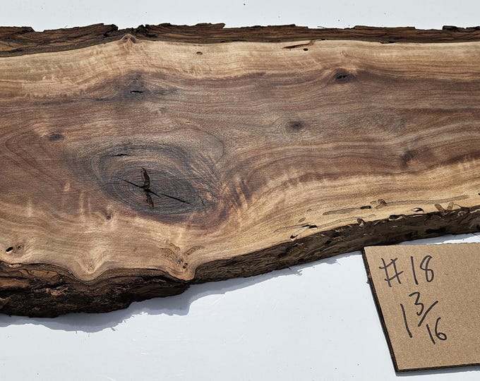 Claro Black Walnut Live Edge Slab. Small Side Table Slab, Shelf, Bench ...