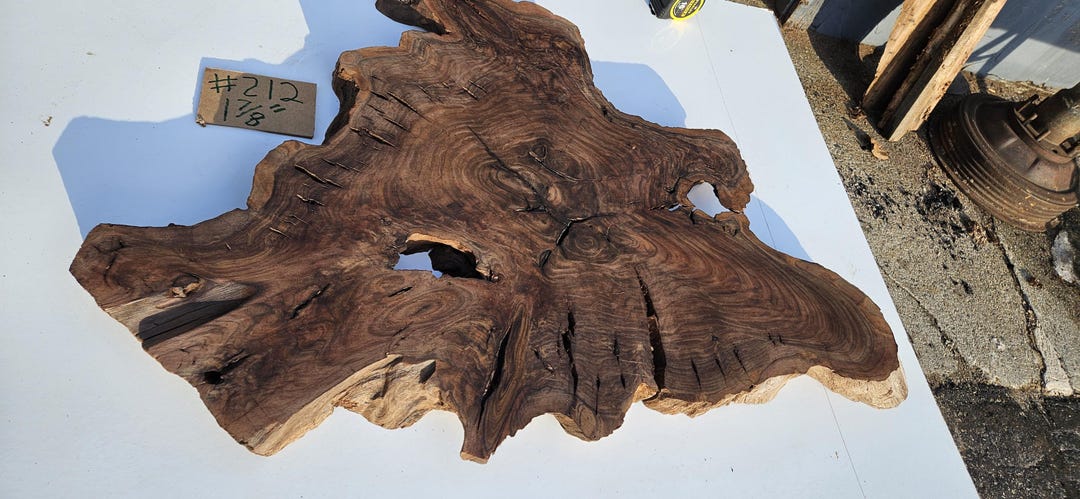 Claro Black Walnut Stump/root Slab, Insane Grain, Burl Spilkes, Organic ...