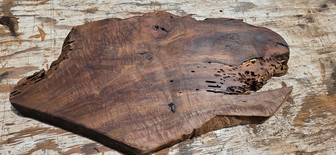Claro Black Walnut Stump Root Slab, Super Insane Grain, Stump Creature ...