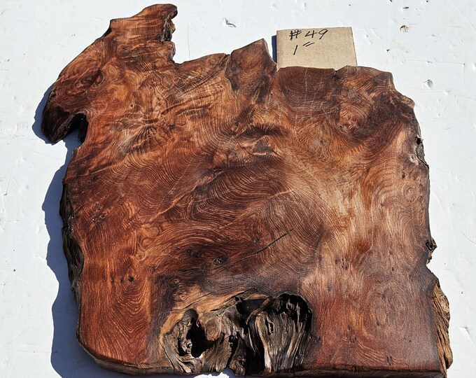 Old Growth Redwood Root Live Edge Slab Quilted Grain. Wall Art, Table ...