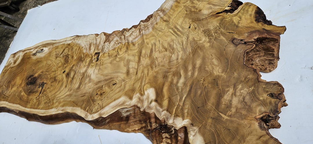 Burl - Fruitless Mulberry Slice. Live Edge. Resin, Table Top, Wall Art ...