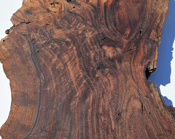 Claro Black Walnut Stump Root Slab, Super Insane Grain, Stump Creature ...
