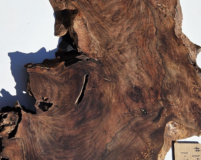 Claro Black Walnut Stump Root Slab, Super Insane Grain, Stump Creature ...