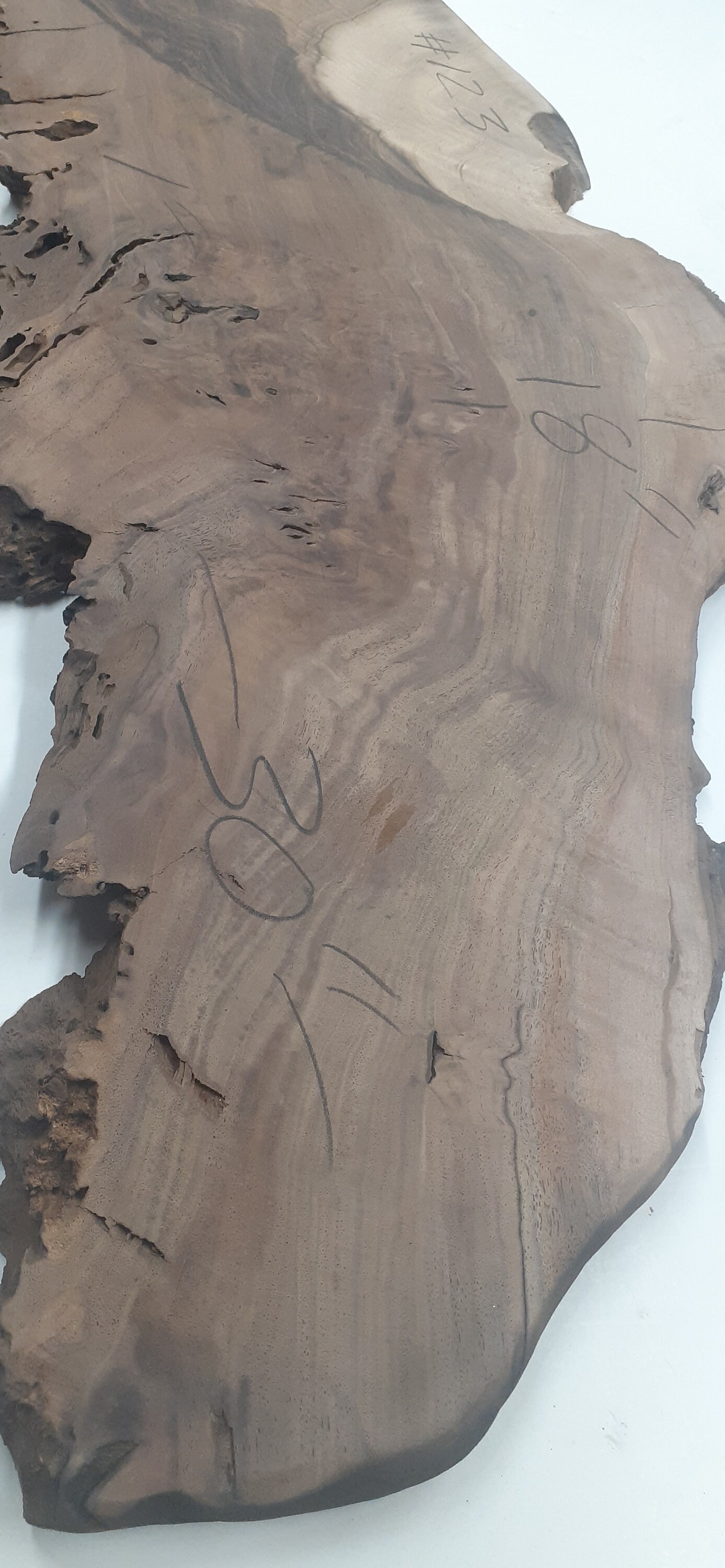 Claro Black Walnut Live Edge Slab. Curl Galore. Stump Burl Long Grain ...