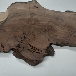 Claro Black Walnut Live Edge Slab. Curl Galore. Stump Burl Long Grain ...