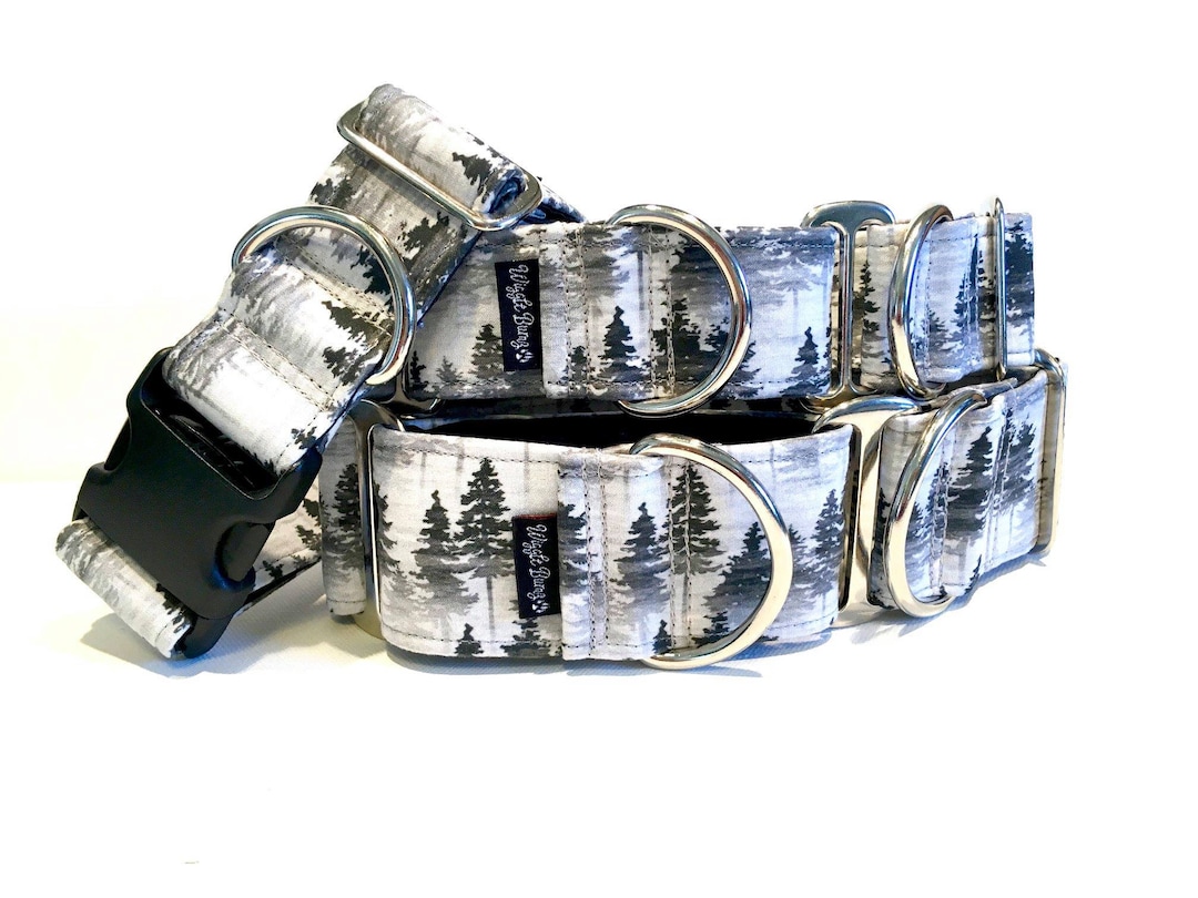 Forest Mist Dog Collar - Martingale Dog Collar - Clip Collar - Dog ...