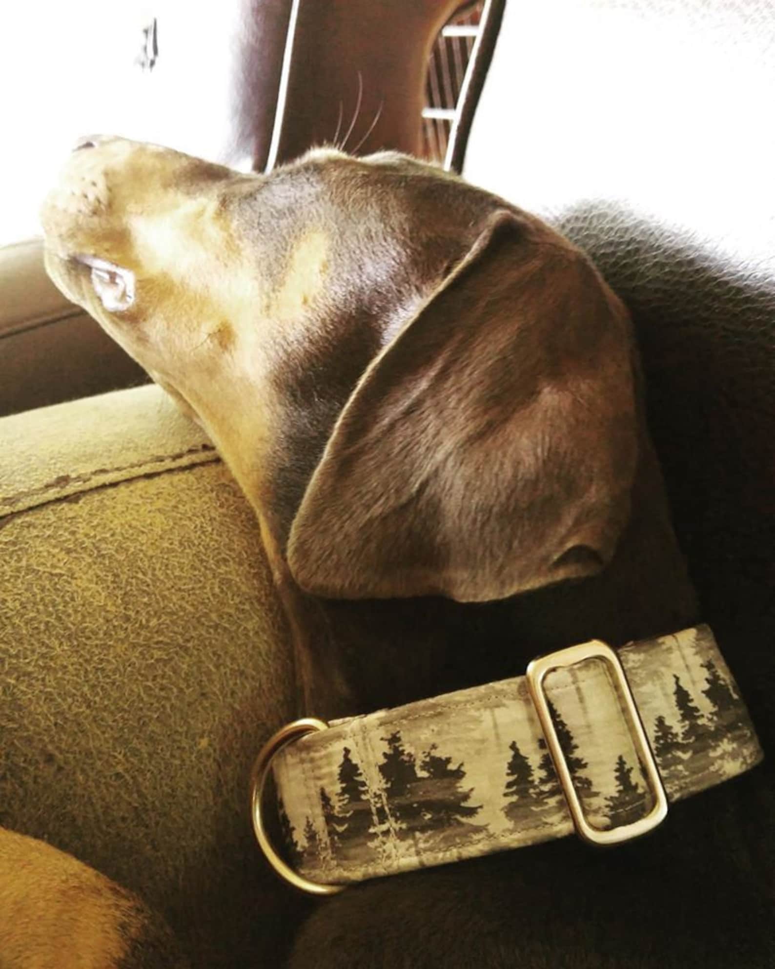 Forest Mist Dog Collar Martingale Dog Collar Clip Collar | Etsy