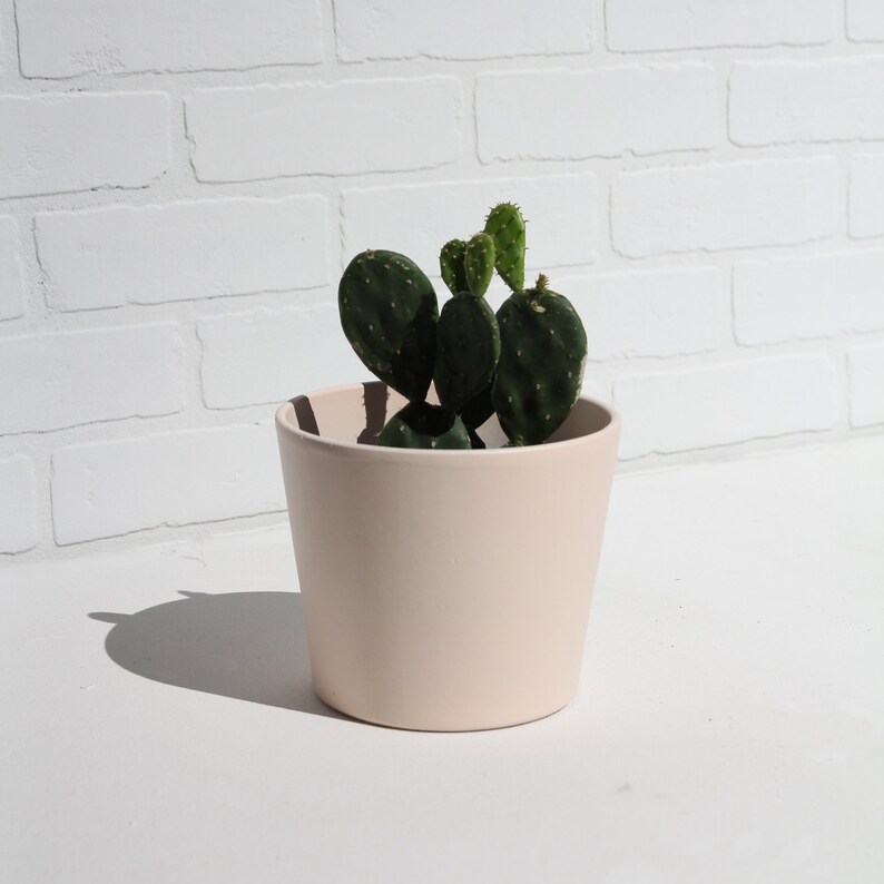 Neutral Tan Sand Painted Terracotta Pot Terra Cotta Planter Ceramic Mid ...