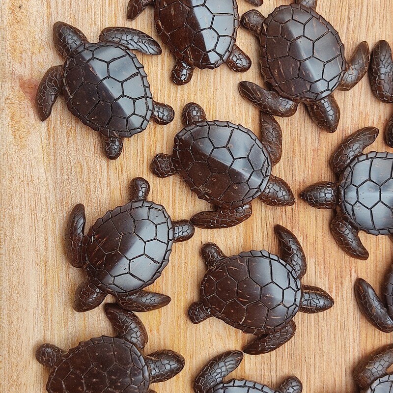 Miniature Turtles - Etsy