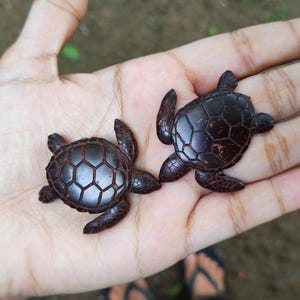 Handcrafted Miniature Coconut Shell Turtle -eco Friendly Coastal Charm ...