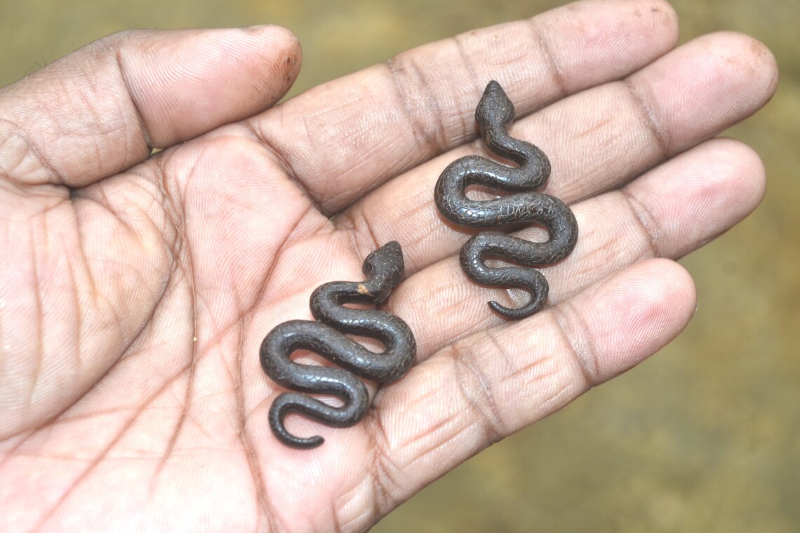 Hand Carved Coconut Shell Snake Earrings. Wooden Dark - Etsy