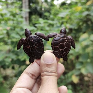 Handcrafted Miniature Coconut Shell Turtle -eco Friendly Coastal Charm ...