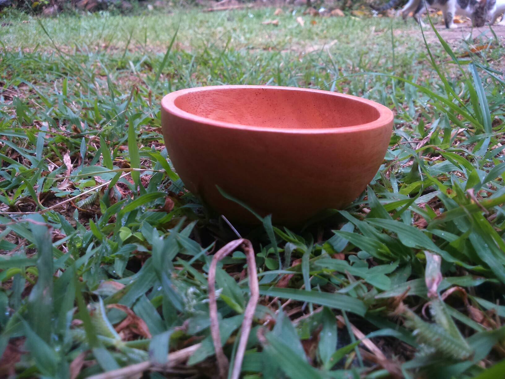 6 Wood Bowls Small Wood Bowls table Condiment Set tiny - Etsy