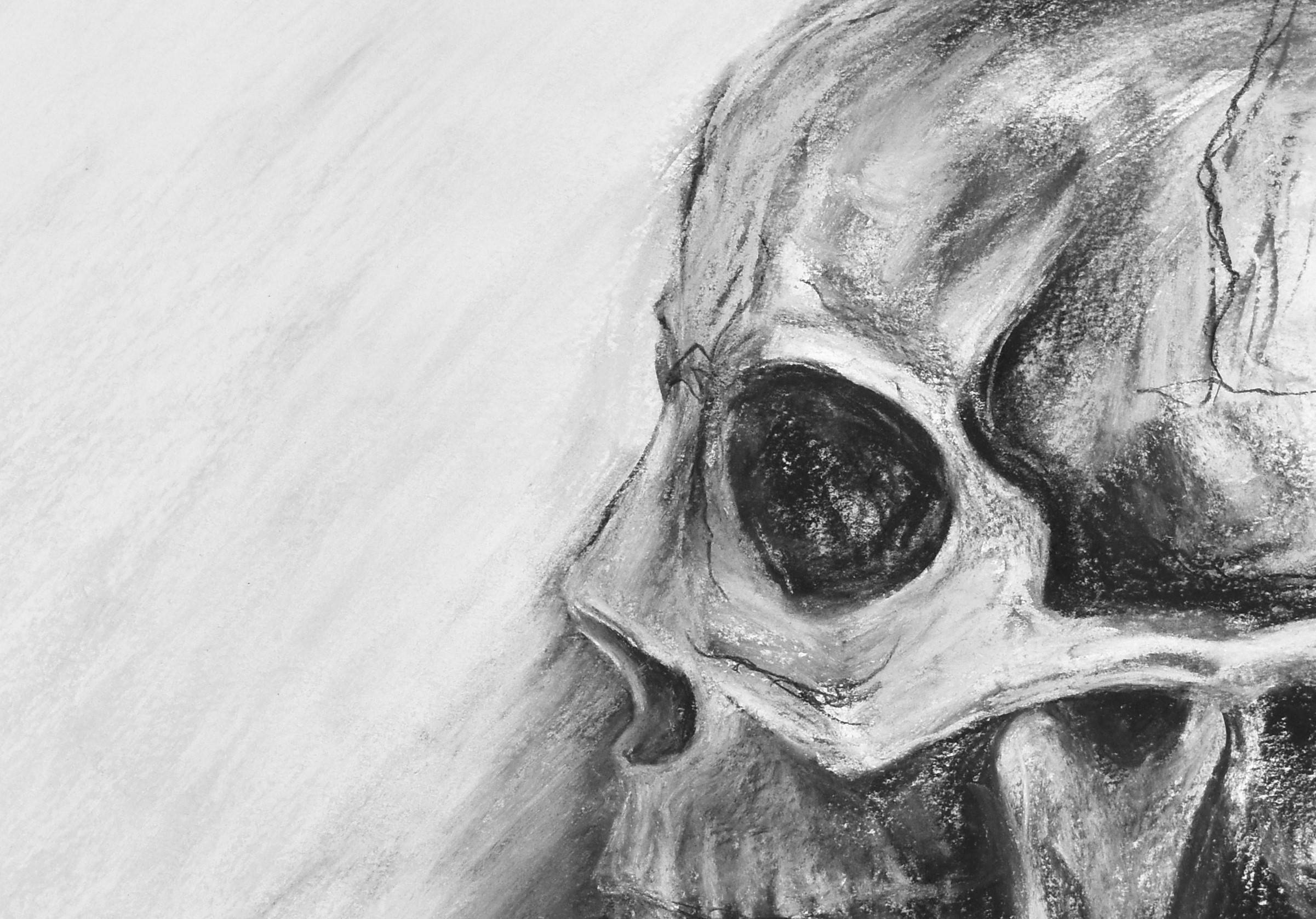 Skull Sketch Profile by Veronica Lamb, Black and White Charcoal Drawing ...
