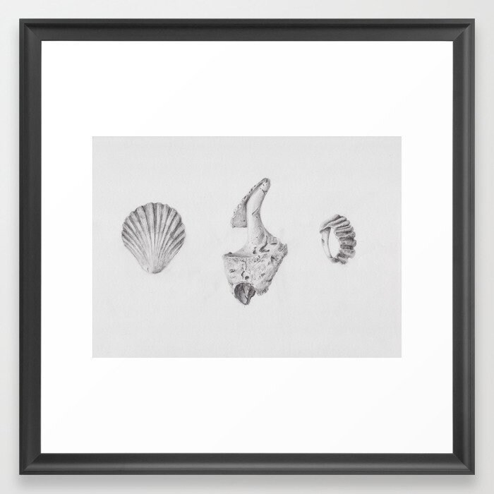 Seashells Pencil Drawing, Original Botanical Art, Boho Beach Decor - Etsy