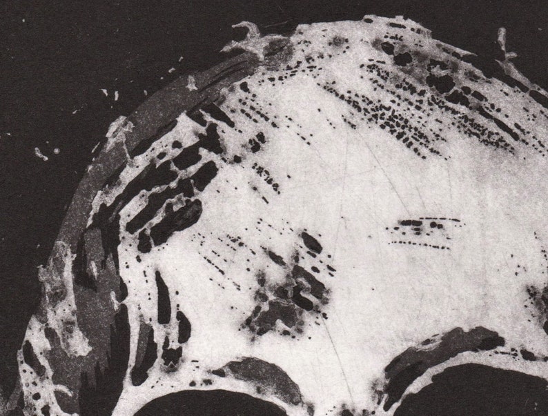 Macabre Skull by Veronica Lamb, Black and White Signed Limited Edition ...