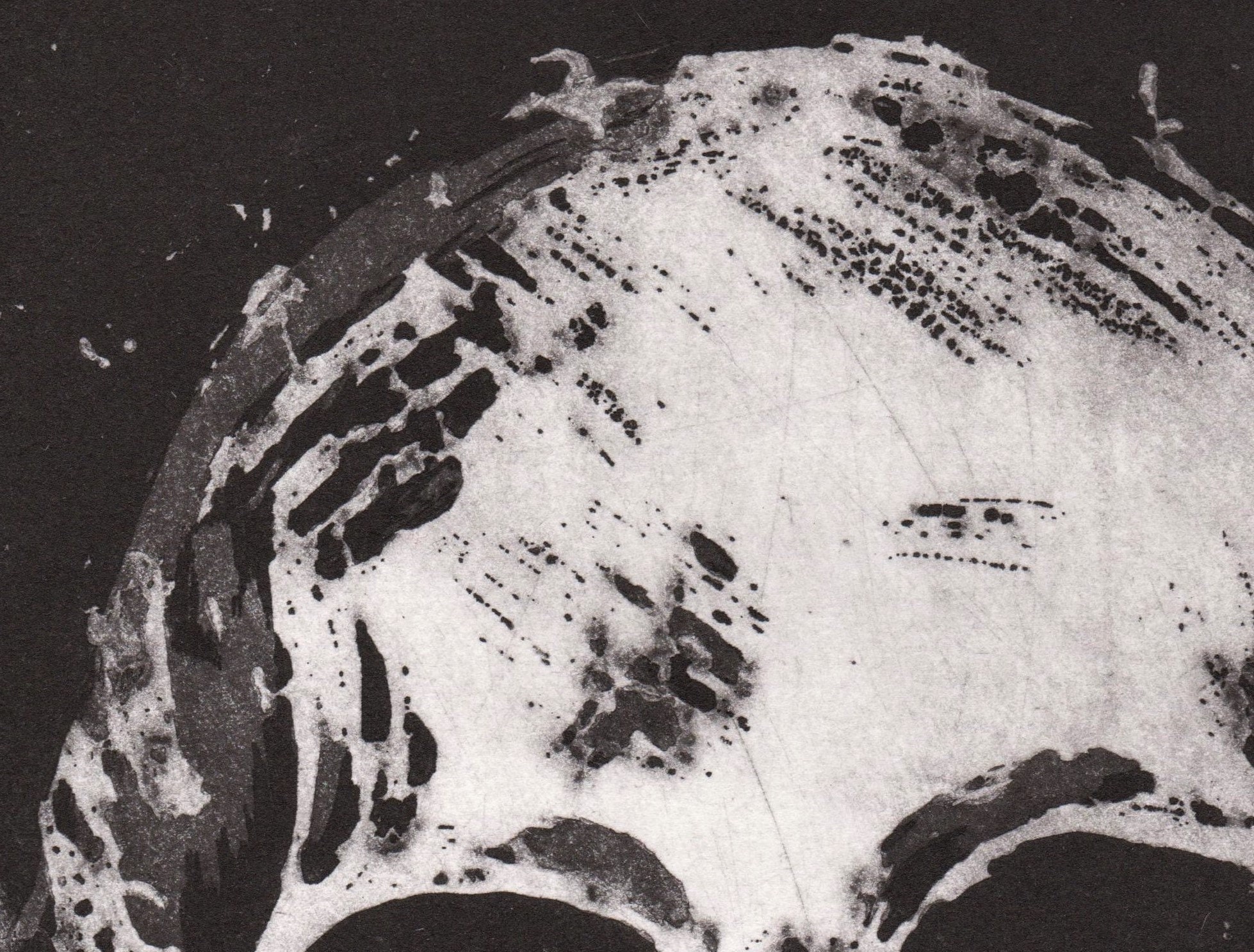 Macabre Skull by Veronica Lamb, Black and White Signed Limited Edition ...