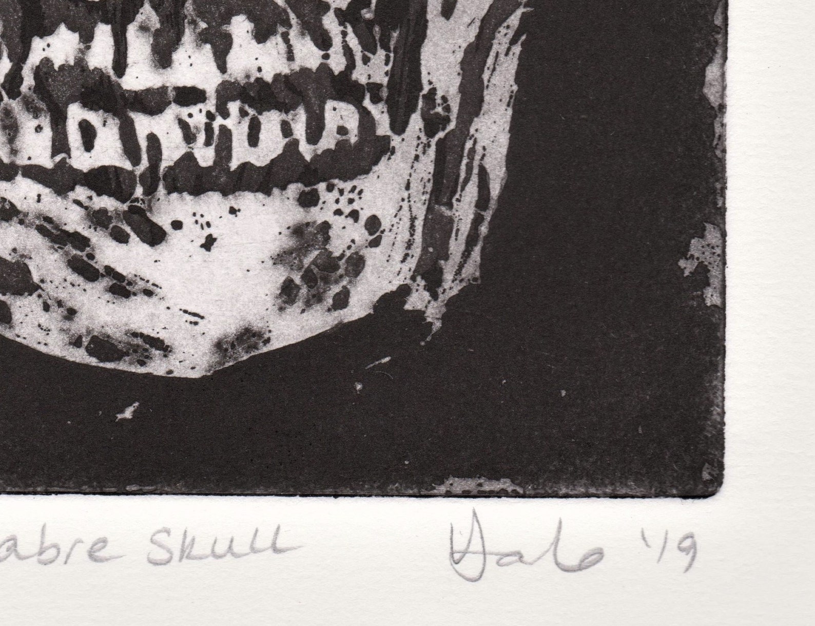 Macabre Skull by Veronica Lamb, Black and White Signed Limited Edition ...