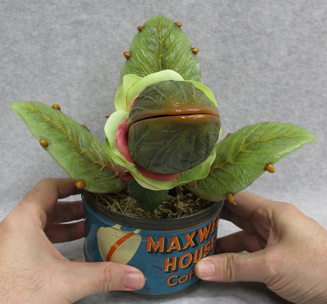 Baby Audrey Ii